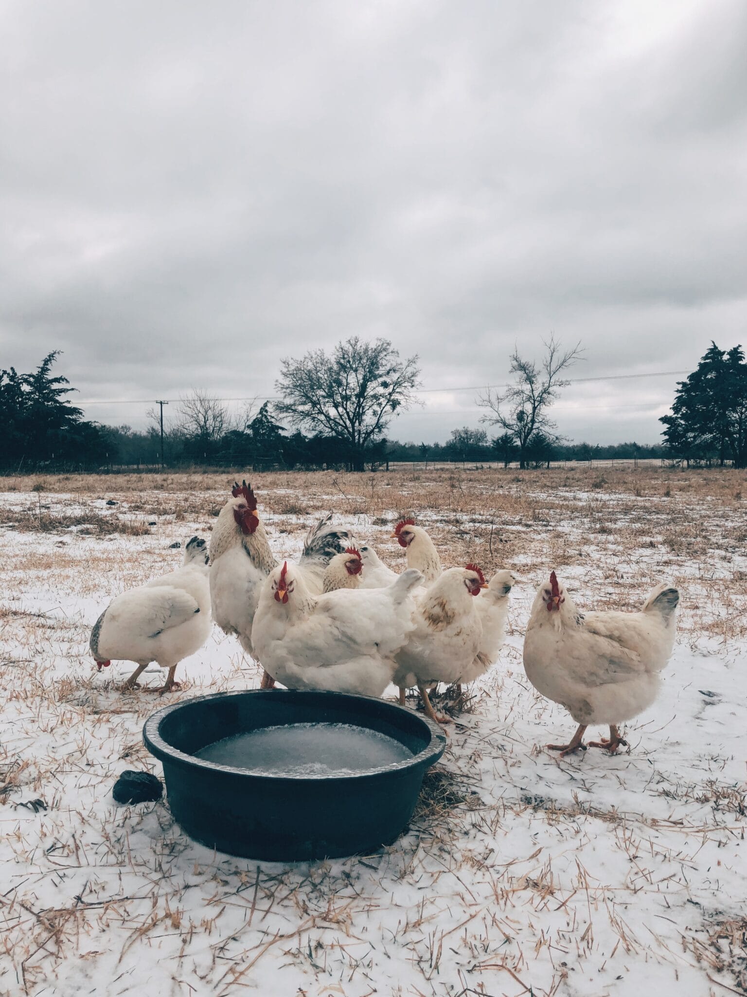 Back at it! 🙌🏻 ️ | Garlands of Grace